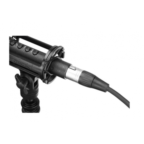 Boom Mic Set (Saramonic Soundbird T3L)